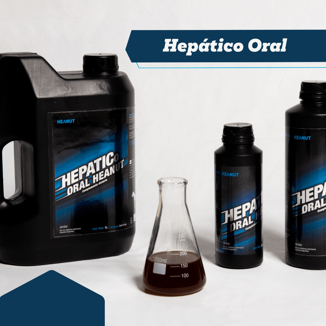 Nuestros Productos - hnt.com.ar
